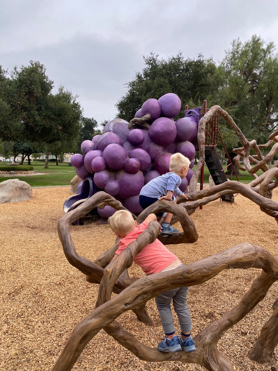 35 Best Parks in San Diego & Updated Playgrounds Map 2026 - San Diego Mamas