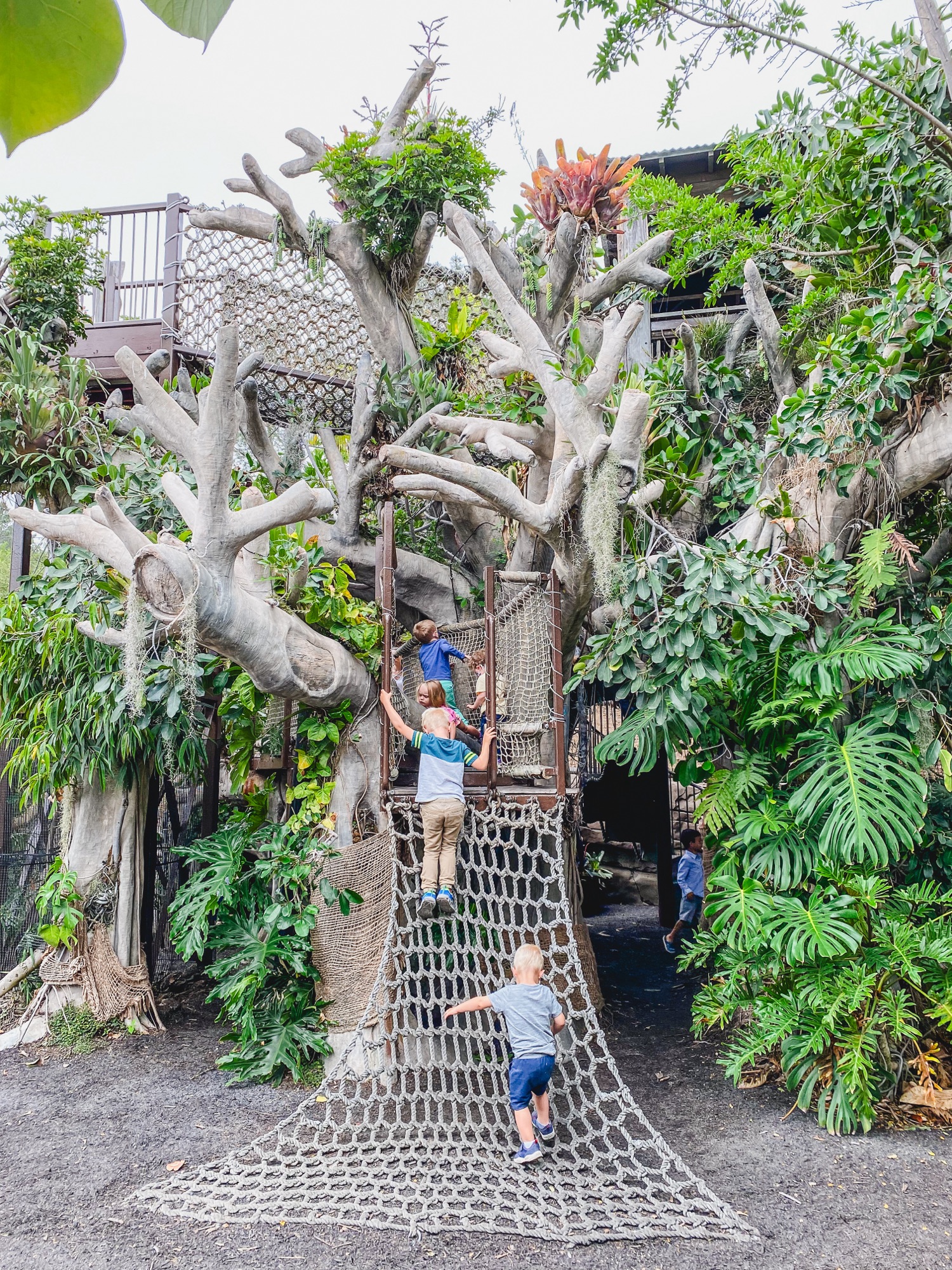 The San Diego Botanic Garden in Encinitas With Kids - San Diego Mamas