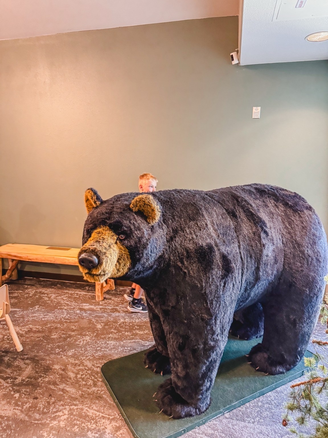 Big Bear With Kids: 25 Best Fun Things To Do in 2026 - San Diego Mamas
